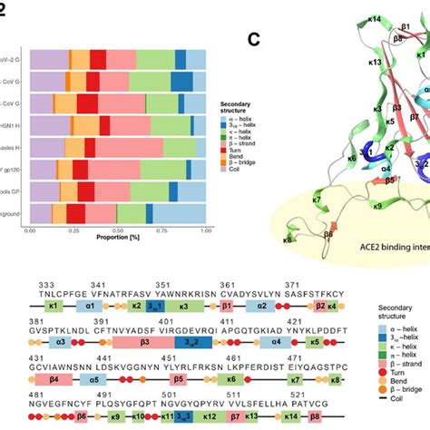 Secondary Structure Assignment Of The Receptor Binding Domain A