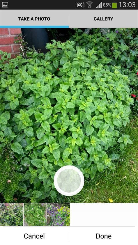 Github Priyankapateldevandroid Multiple Image Picker