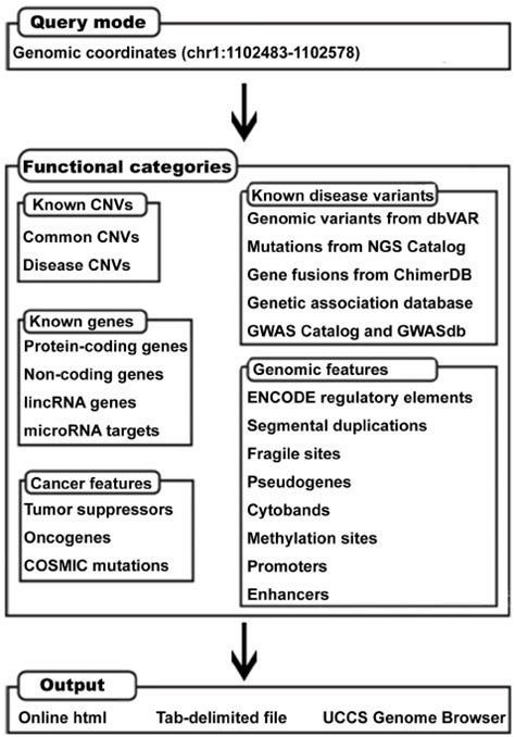 The Input Annotation Categories And Output Of Cnvannotator