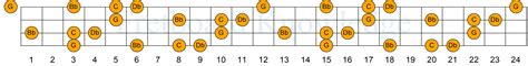 C Db G Bb Bass Guitar Fretboard Knowledge