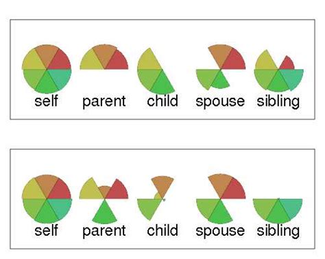 14 Segment Plot For Output At Relationship Representation Layer For