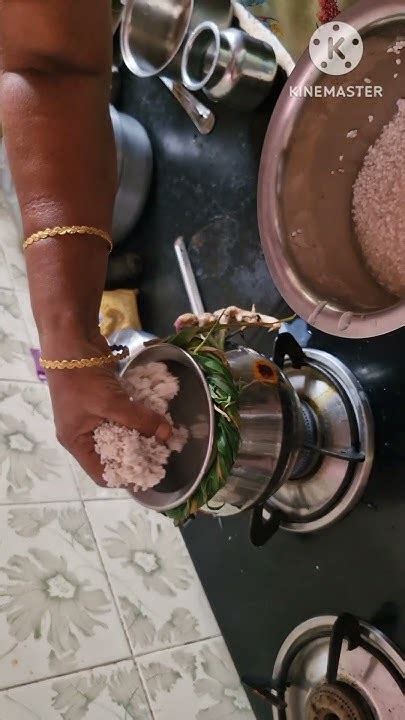 சீரக சம்பாவில் செய்த எங்க வீட்டு சர்க்கரைப் பொங்கல் வெண்பொங்கல் Youtube