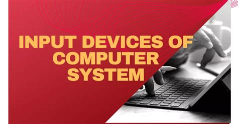 Input Devices Of Computer System Examples Types