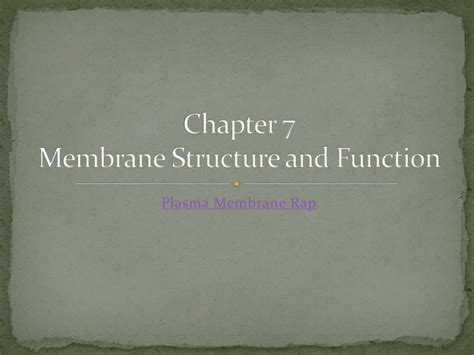 PPT Chapter 7 Membrane Structure And Function PowerPoint Presentation ID 6283714
