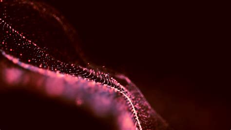 Network Connection Data Structureinformation Stock Motion Graphics Sbv