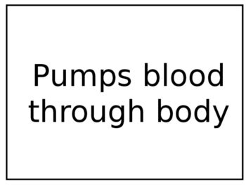 Science Vocabulary Sort Structure And Function By Fifth Grade Wonders