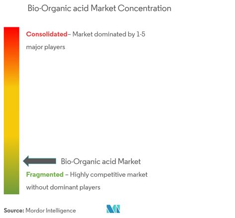 바이오 유기산 시장 규모 및 점유율 분석 산업 연구 보고서 성장 동향