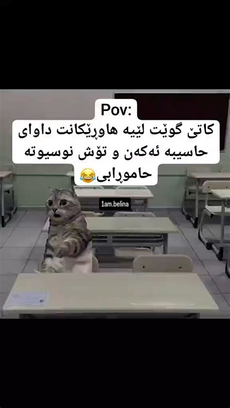 𝕭𝖊𝖑𝖎𝖓𝖆 ‎چەندە سەیرە ژیانی من‎ Instagram