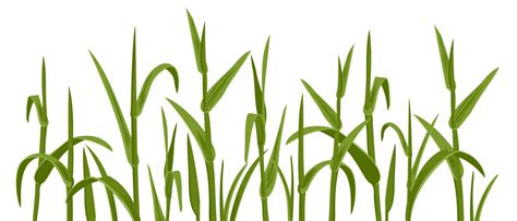 Long Grass Vector Images Over 4800
