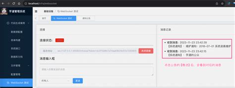 Websocket Ruoyi Vue Pro