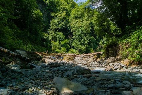 ლაგოდეხის ნაკრძალი საქართველო