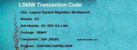 LSMW SAP Tcode For Legacy System Migration Workbench