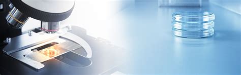 Cytogenetics Pathology And Laboratory Medicine