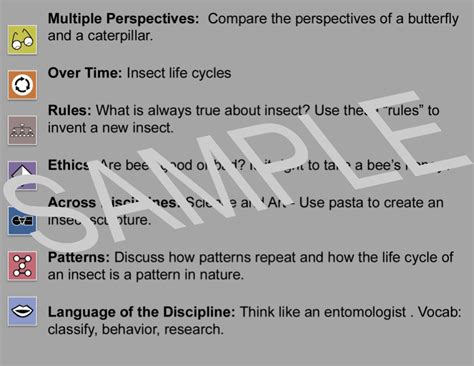 science insect unit with depth and complexity kinder 2nd grade