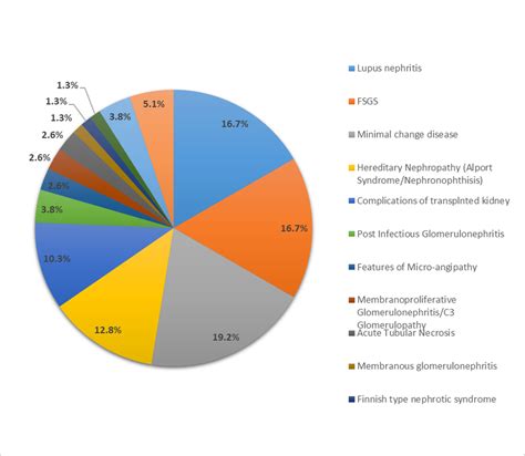 Diagnosis Of The Renal Biopsy Download Scientific Diagram