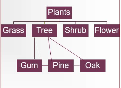 Object Recognition Flashcards Quizlet