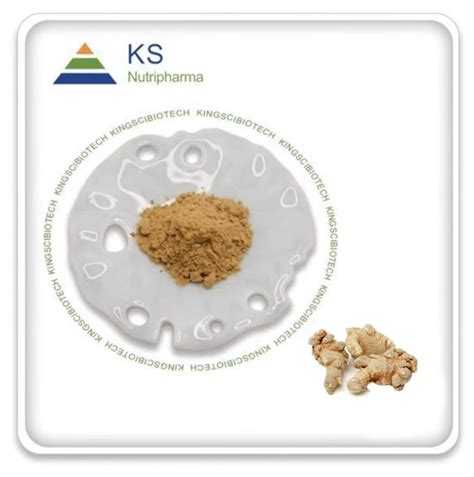 Radix Notoginseng Extract Kingsci