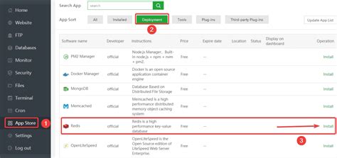 Install And Configure Redis On Aapanel With 2 Steps