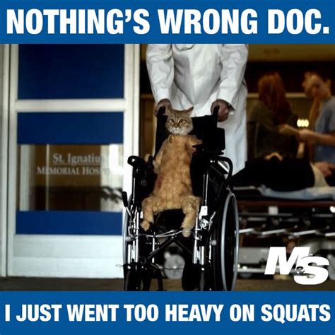 Me After Leg Day Meme