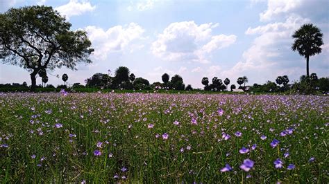 gowthaman murugan photography