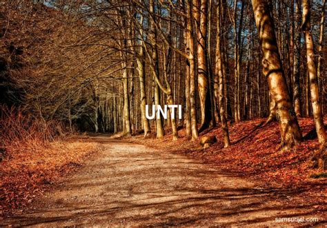 Arti Kata Unti Kamus Besar Bahasa Indonesia Kbbi