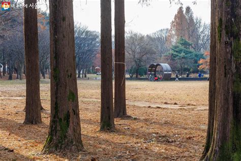 서울시 내 손안에 서울