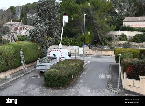 Professional Gardener Tree Surgeon Or Arborist Using Aerial Work Platform Awp Or Bucket