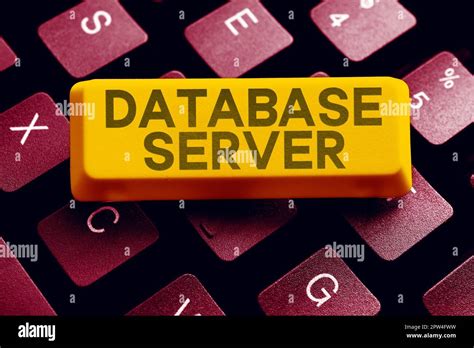 Text Caption Presenting Database Server Business Overview Uses A