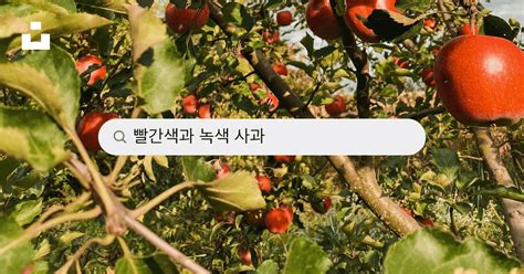 빨간색과 녹색 사과 사진 Unsplash에서 무료 이미지 다운로드