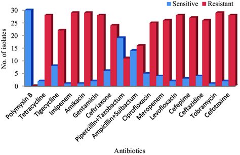 Antibiotic Sensitivity Pattern Of Acinetobacter In Icu Download Scientific Diagram