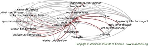 Endemic Typhus Disease Malacards Research Articles Drugs Genes