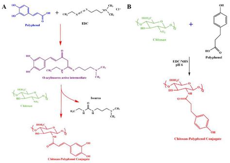 Life Special Issue Polyphenolic Compounds And Their Nanoformulation