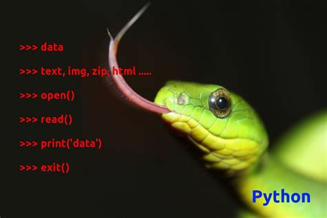 初心者向けPythonでファイルを読み込む簡単な方法を紹介 CodeCampus