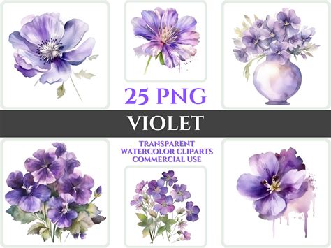 Watercolor Violet Clipart Png Flower Blossom Image Romantic File Sublimation Wallart Digital