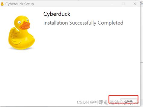 如何“安装cyberduck和使用”win11系统？ Csdn博客