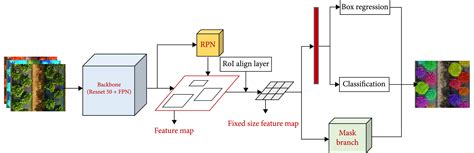 Deep Learning For Strawberry Canopy Delineation And Biomass Prediction From High Resolution
