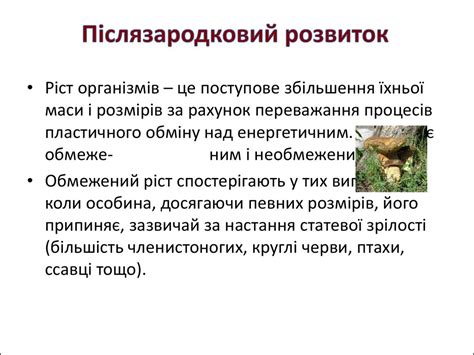 Післязародковий розвиток організмів презентация онлайн