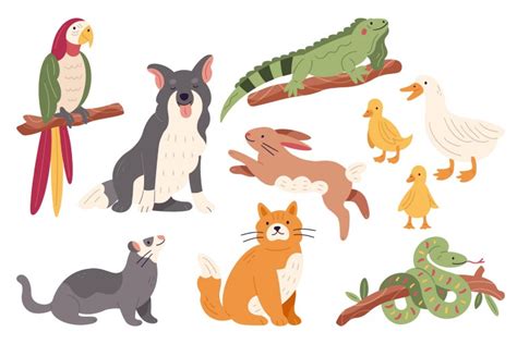 دانلود وکتور طرح حیوانات مختلف دانلود رایگان فایل لایه باز، Psd