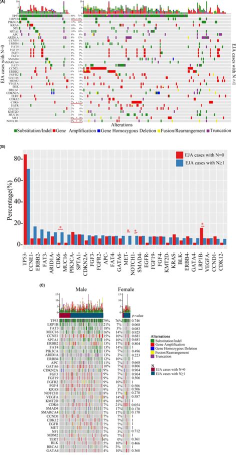 A Targeted Next‐generation Sequencing Tngs And Genetic Analysis Of Download Scientific