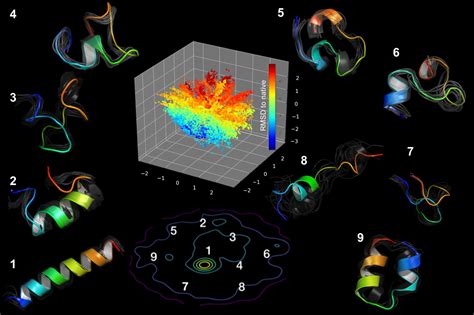 modified deep learning algorithms unveil features of shape shifting