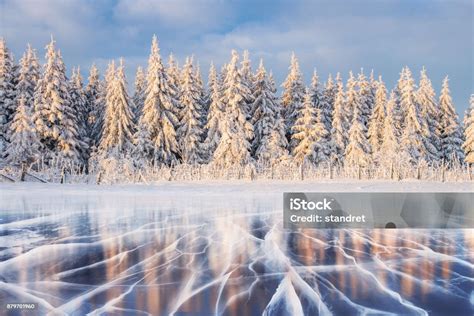 아이스 블루 고 얼음의 표면에 균열 겨울에 푸른 하늘 아래 얼어붙은 호수 소나무 언덕입니다 겨울입니다 카 르 파티 아 우크라이나 유럽 0명에 대한 스톡 사진 및 기타 이미지