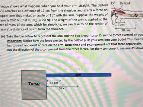 C Calculate The X And Y Components Of The Force The