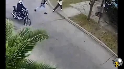 دختر زرنگ سرقت ناموفق فیلو