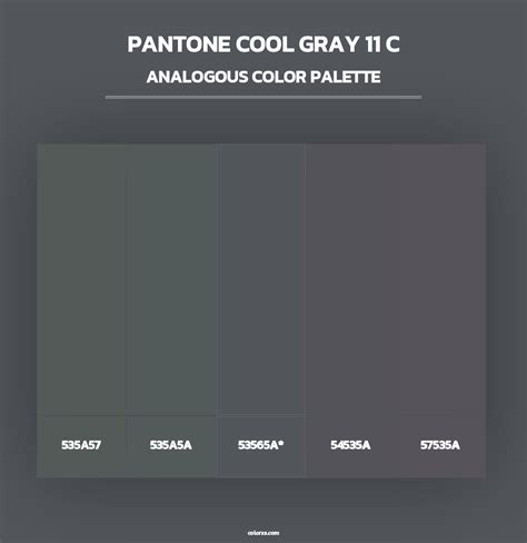Pantone Cool Gray 11 C Color Palettes