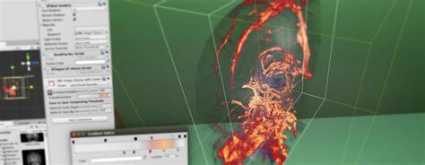 unity® volume rendering