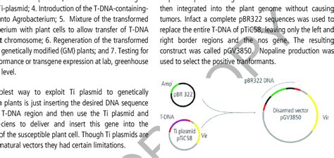 Ti Plasmid