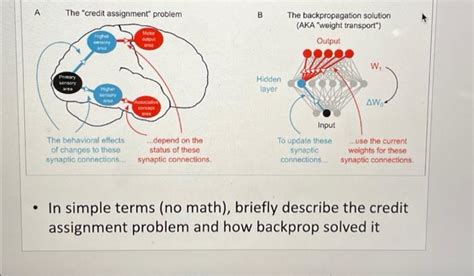 Solved A The Credit Assignment Problem Primary Sensory