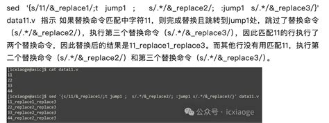 linux工具sed编辑器使用进阶 极术社区 连接开发者与智能计算生态