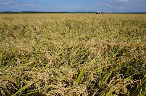 農家とつくる日本酒プロジェクト