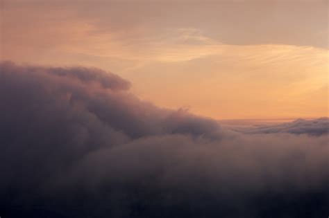 Nlx Build Conversational Applications